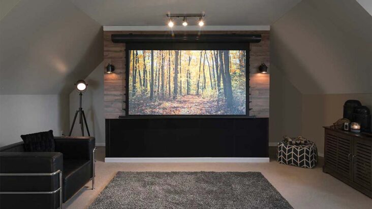 Choosing the Perfect Projection Screen: A Buyer's Guide (2023-2024 ...