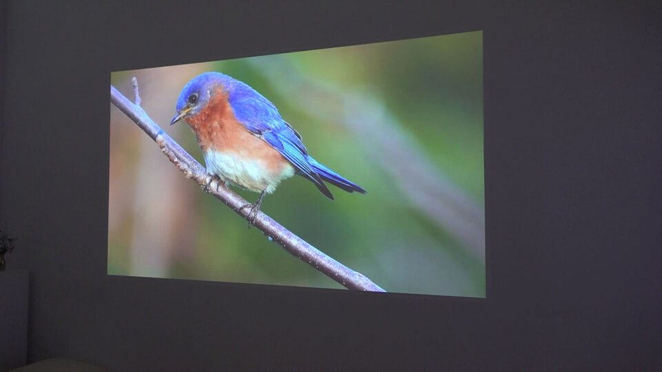XGIMI launches the HORIZON Ultra at an New York Event - Projector Reviews